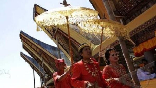 Pernikahan Adat Toraja